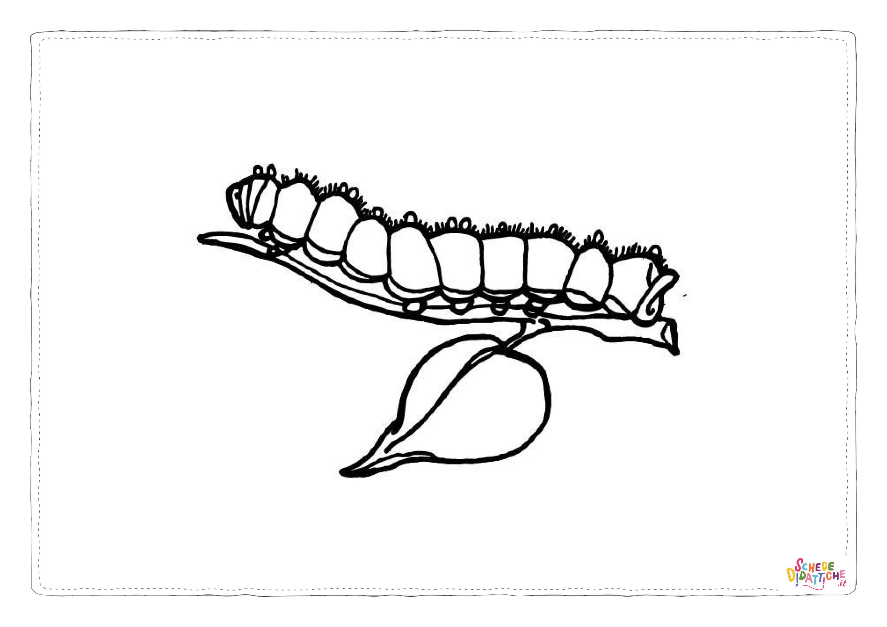 Disegno di bruco