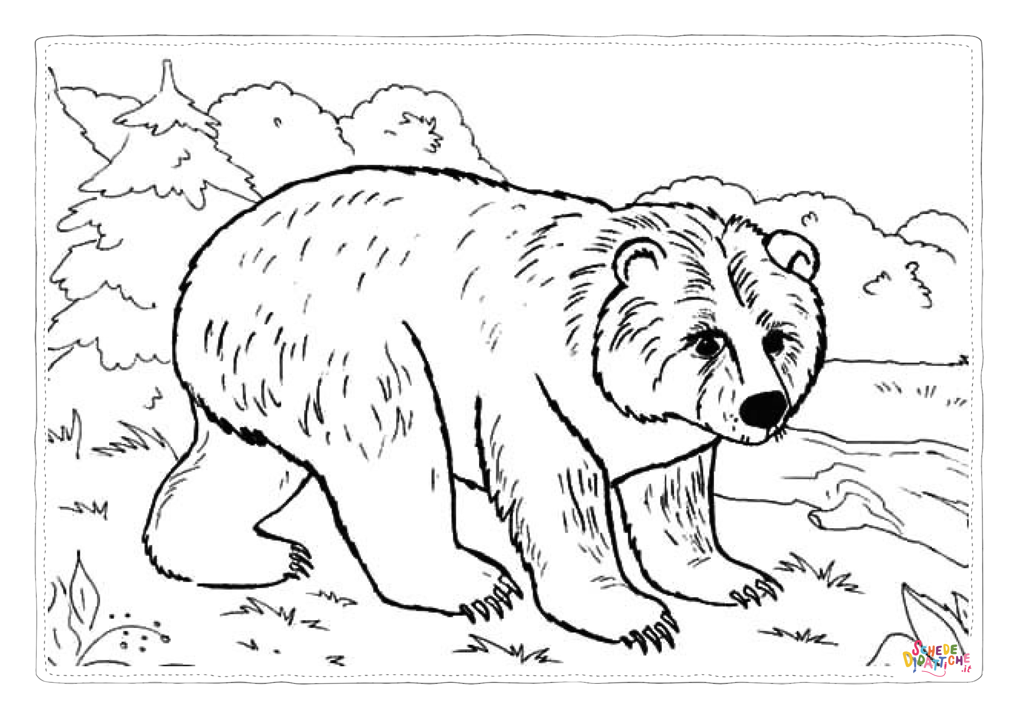 Disegno di orso