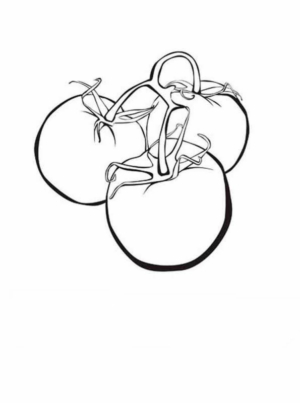 14 Disegni di Pomodori da Colorare e Stampare Gratis