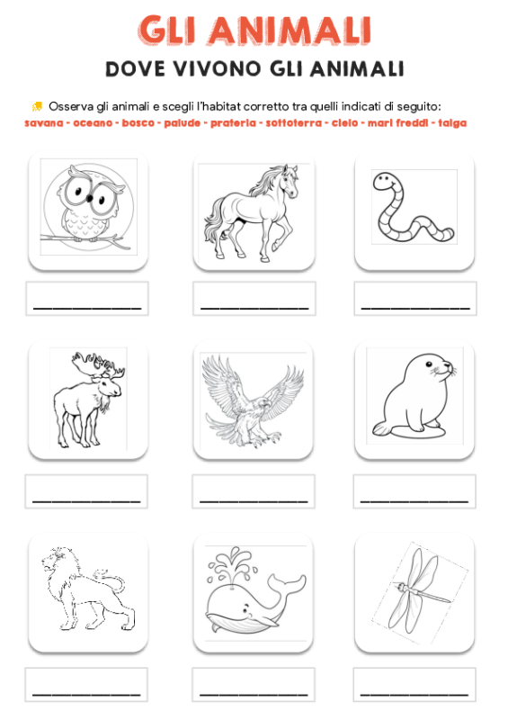 Dove vivono gli animali - scrivi 3.pdf