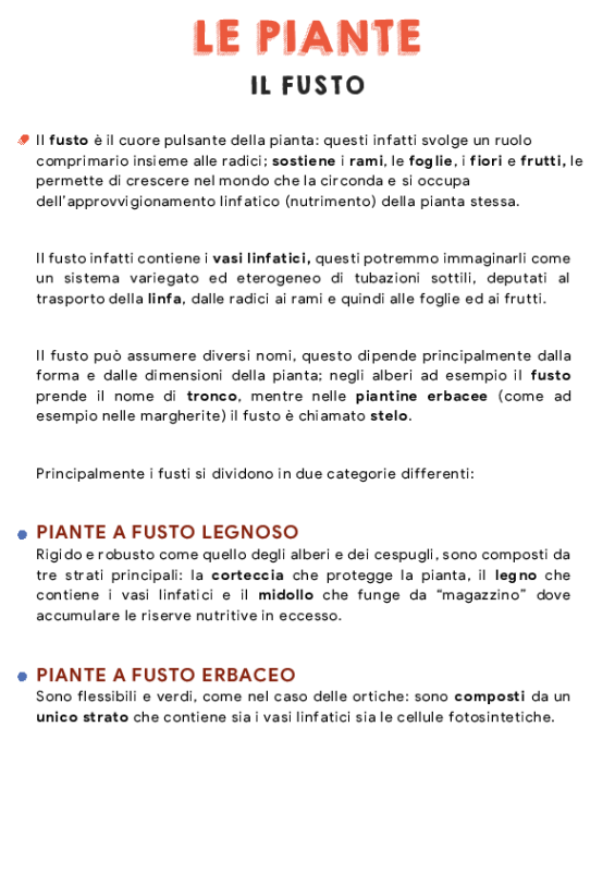 Le piante - Il fusto.pdf
